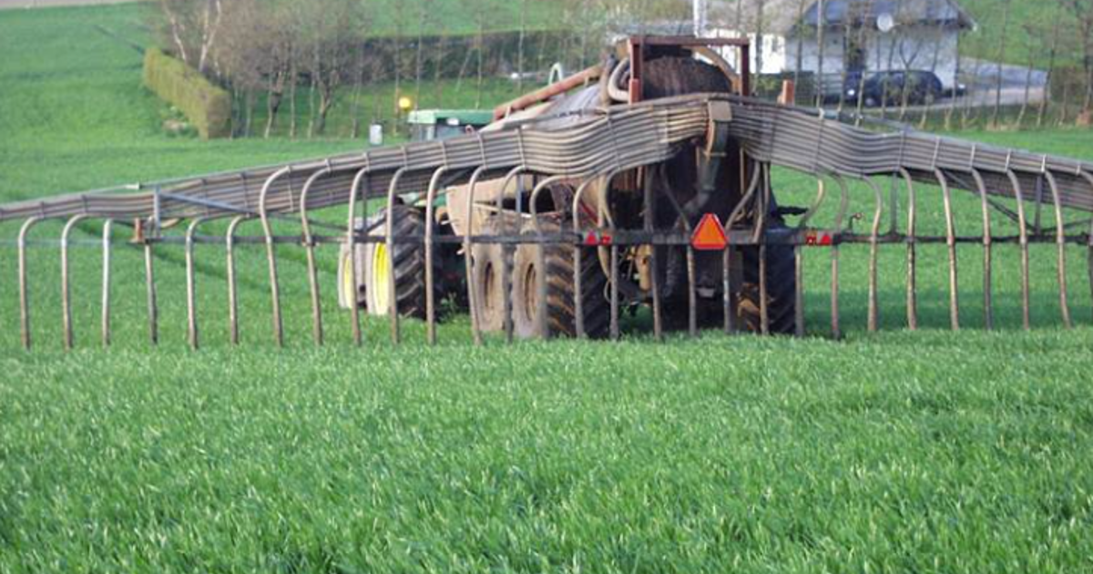 Prioritering af gyllefordeling