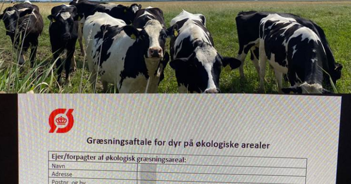 Har du styr på dine græsningsaftaler?