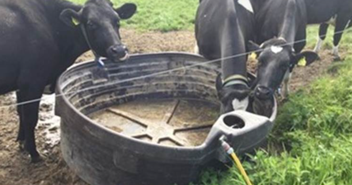 Nye faktaark om forebyggelse af parasitter